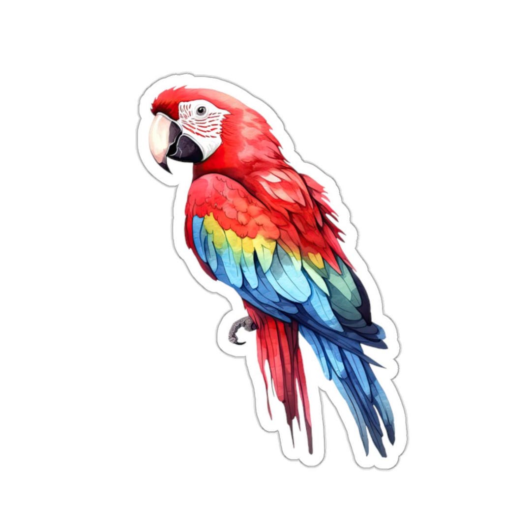Colorful Macaw Parrot Watercolor Vinyl Sticker, Glossy Waterproof Bird ...