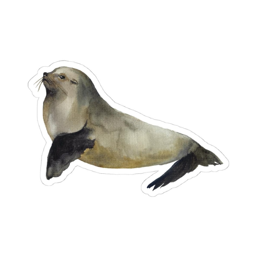 Sea Lion Stickers, Ocean Animal Decal, Watercolor Seal Sticker, Cute ...