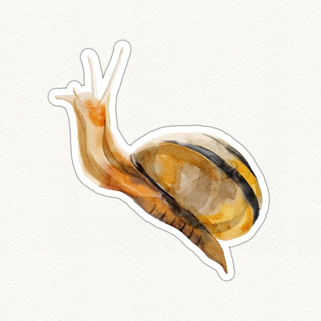 Cute Snail Sticker, Watercolor Snail Decal, Fun Laptop Sticker ...