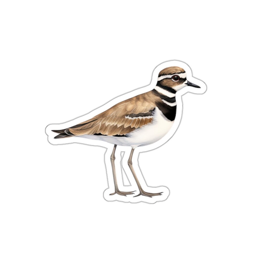 Cute Bird Vinyl Sticker, Watercolor Bird Decal, Laptop Sticker, Bird ...