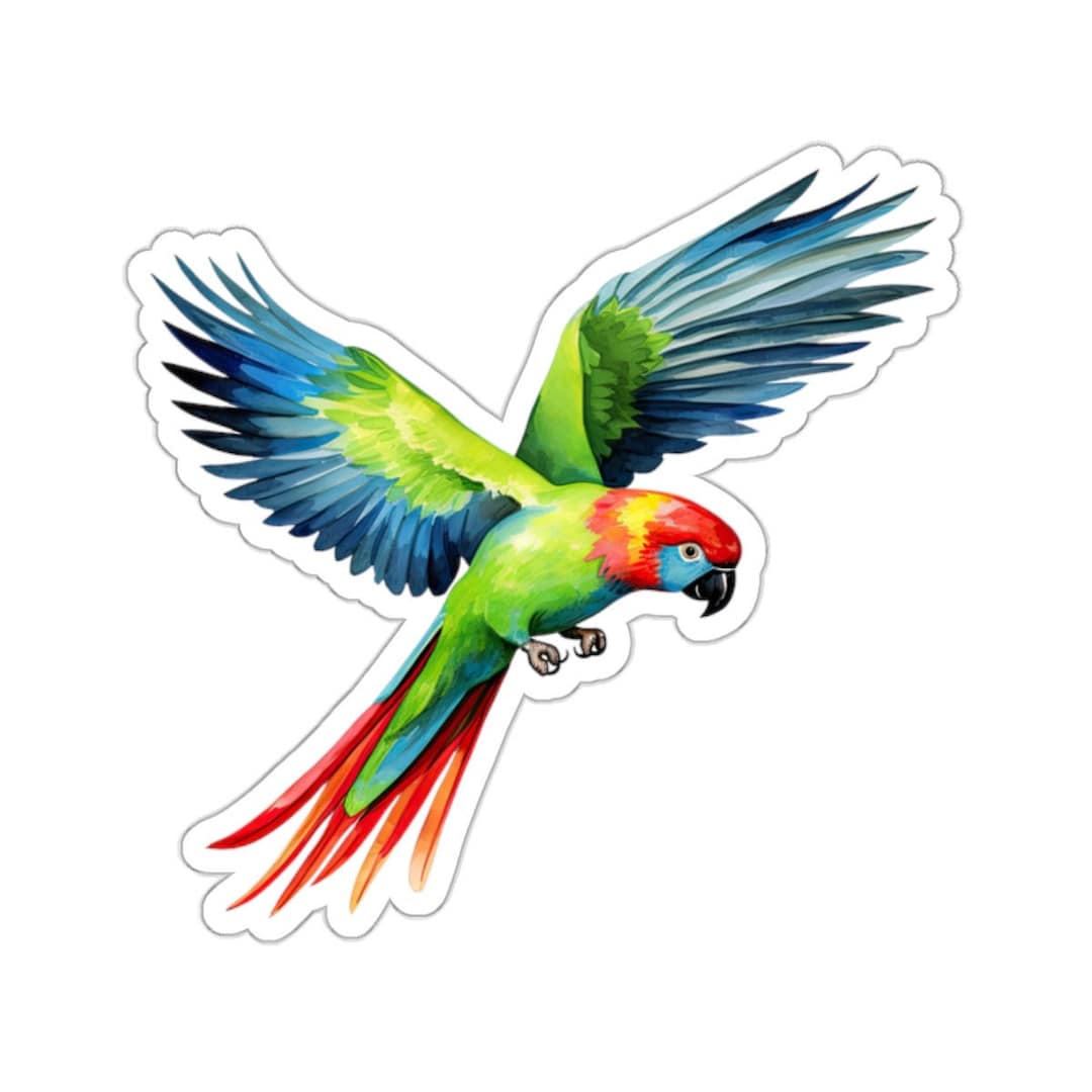 Colorful Parrot Vinyl Sticker, Watercolor Bird Decal, Tropical Winged ...