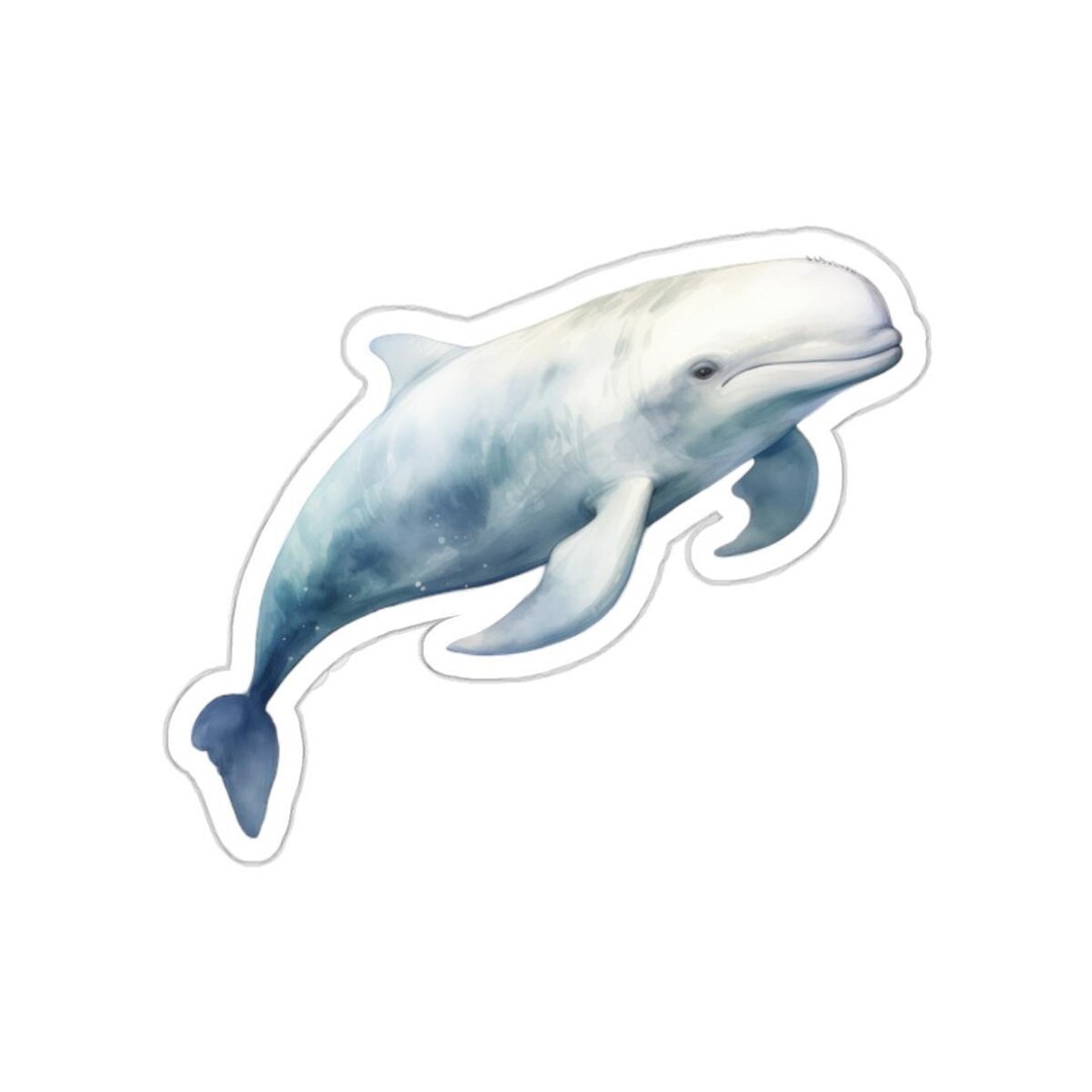 Cute Beluga Whale Sticker, Watercolor Vinyl Decal, Waterproof Marine ...