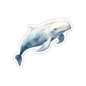 Cute Beluga Whale Sticker, Watercolor Vinyl Decal, Waterproof Marine ...