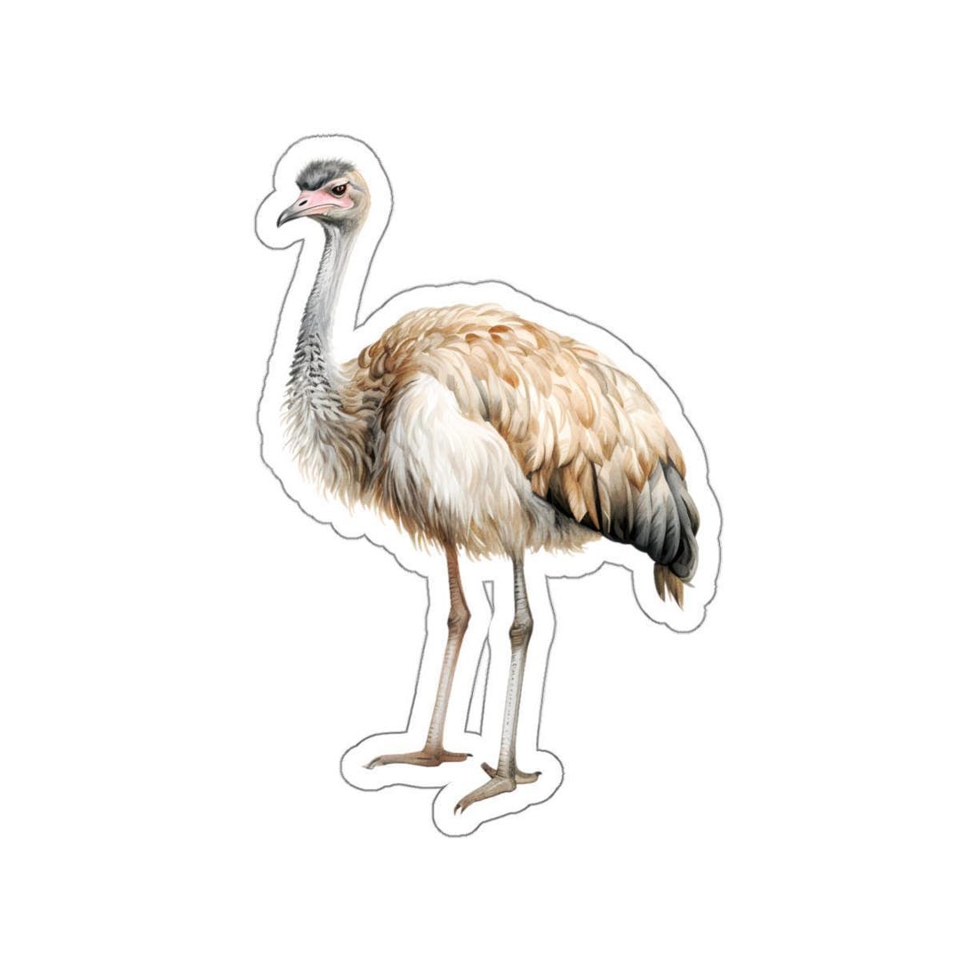 Australia Emu Sticker, Cute Emu Sticker Vinyl Decal, Emu Laptop Sticker ...