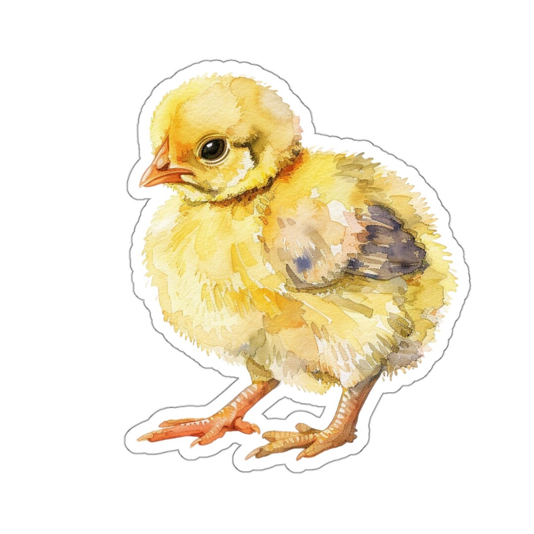Watercolor Chick Sticker, Waterproof Vinyl Decal, Nursery Decor - Etsy