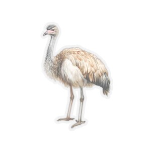 Australia Emu Sticker, Cute Emu Sticker Vinyl Decal, Emu Laptop Sticker ...