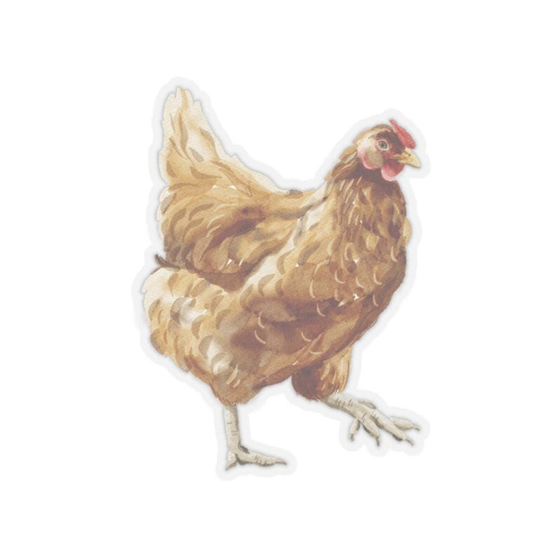 Cute Chicken Sticker, Vinyl Chicken Decal, Glossy Waterproof Sticker ...