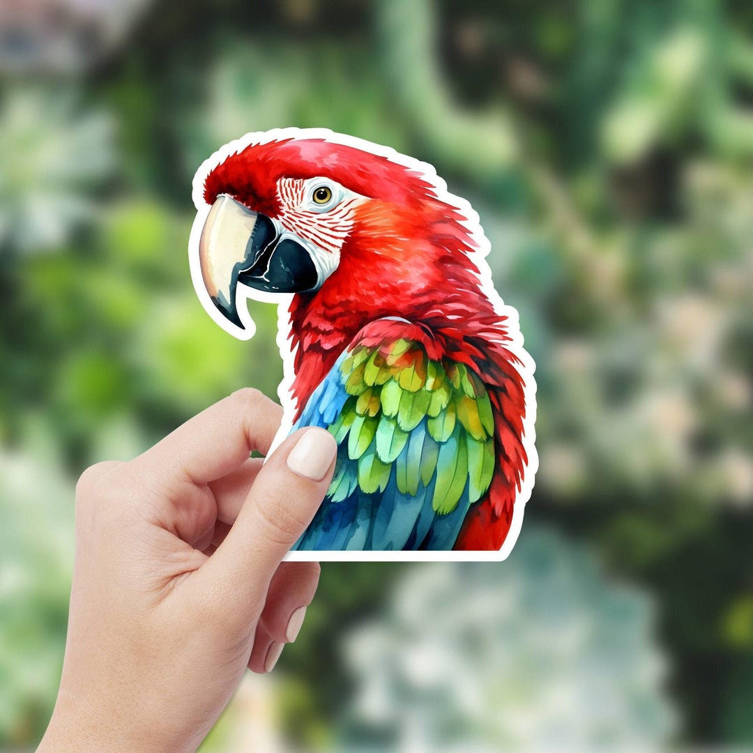 Colorful Parrot Vinyl Sticker, Macaw Bird Waterproof Decal, Laptop ...
