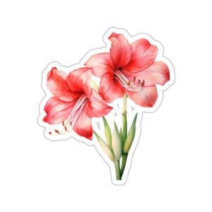 Beautiful Watercolor Lily Flower Sticker, Red Lily Blossom Vinyl ...