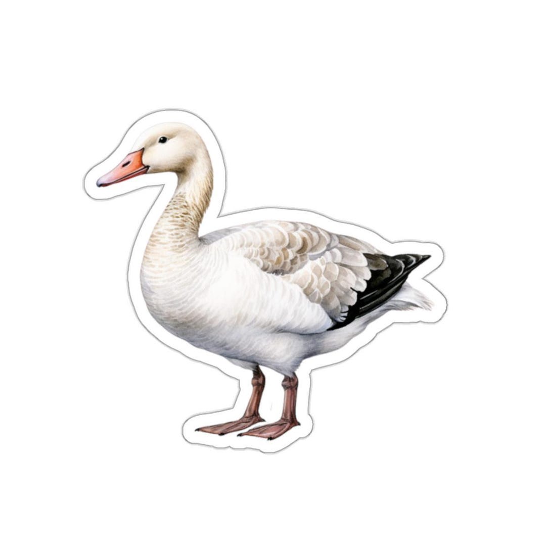 Snow Goose Sticker, Cute Goose Vinyl Sticker, Funny Animal Decal ...
