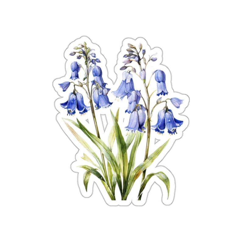 Bluebell Flower Sticker, Watercolor Floral Decal, Waterproof Vinyl ...