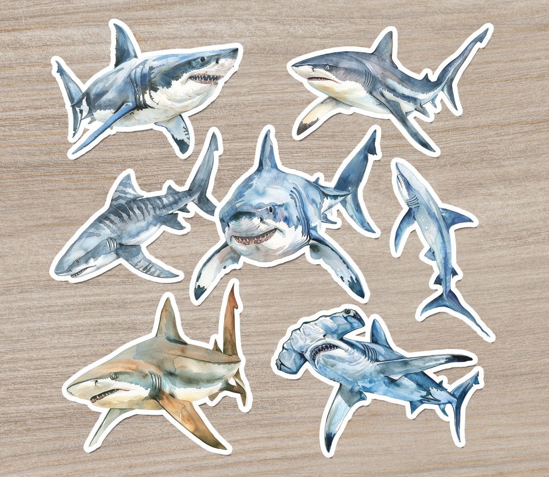 Shark Sticker Pack, Set of 7 Shark Waterproof Vinyl Stickers for Laptop ...