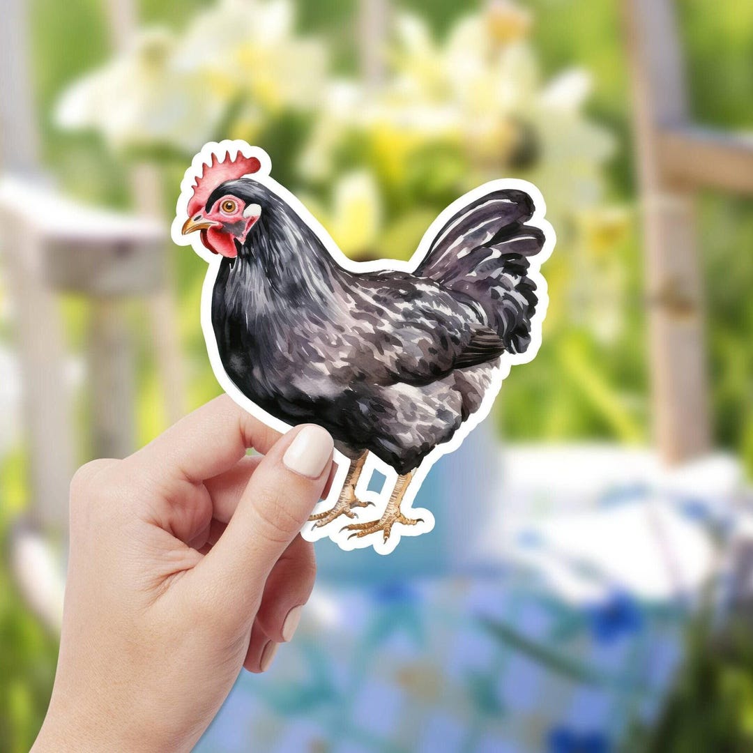 Cute Chicken Sticker, Glossy Vinyl Decal, Waterproof, Farm Animal ...