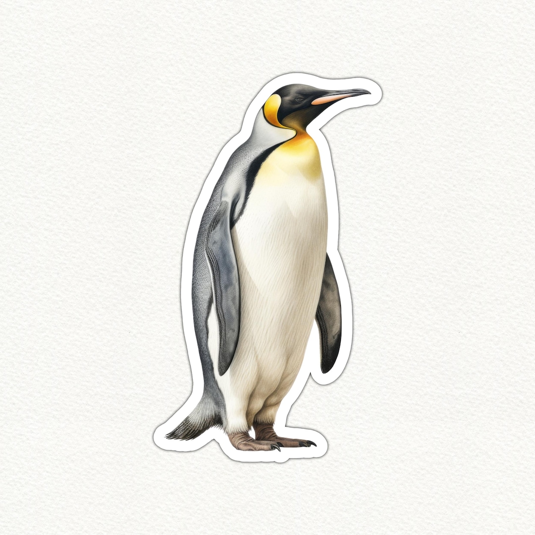 Penguin Vinyl Sticker, Cute Animal Laptop Decal, Glossy Finish ...