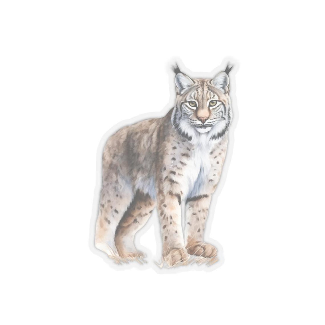 Lynx Cat Sticker, Wildlife Animal Decal, Waterproof Vinyl, Eco-friendly ...