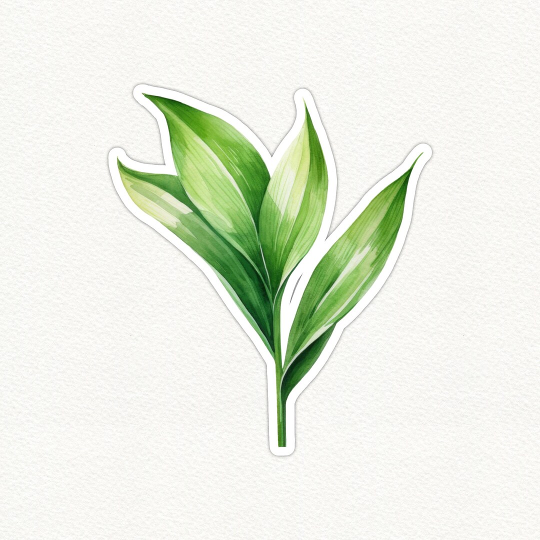 Leafy Green Plant Vinyl Sticker, Botanical Watercolor Decal, Eco ...