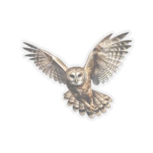 Owl Vinyl Sticker, Realistic Barn Owl, Cute Animal Decal, Laptop ...