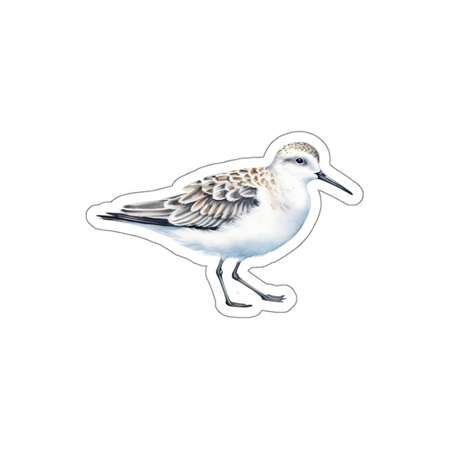 Cute Sandpiper Bird Vinyl Sticker, Watercolor Beach Bird Decal, Glossy ...