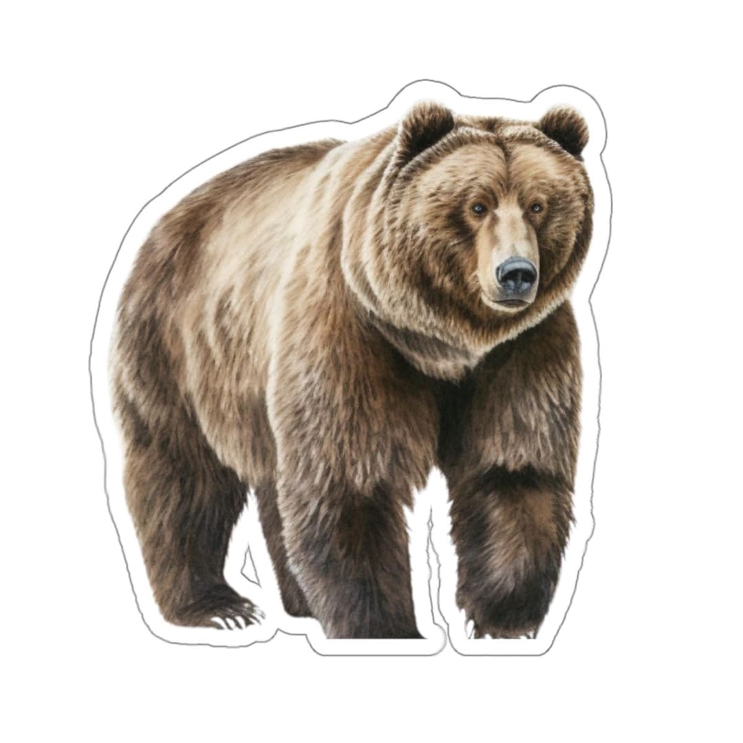 Brown Bear Vinyl Sticker, Glossy Waterproof Bear Decal, Cute Animal ...