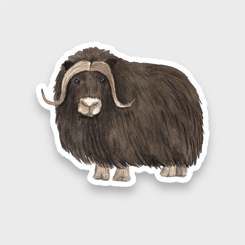 Watercolor Musk Ox Sticker Laptop Water Bottle Window Decal Decor ...