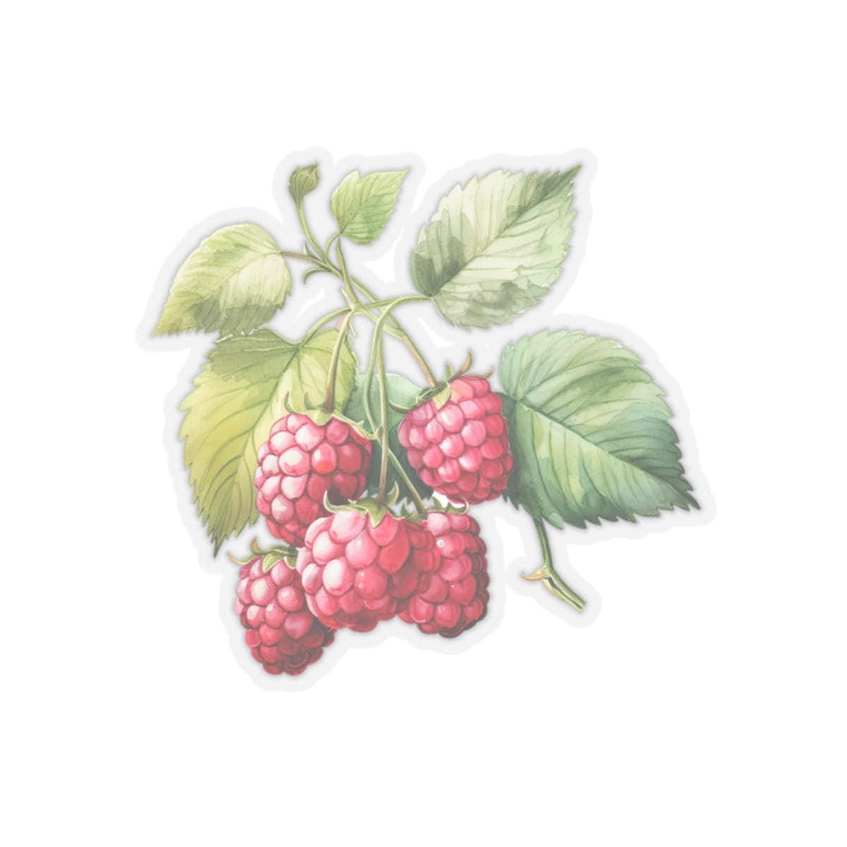 Raspberry Sticker, Cute Watercolor Raspberry Decal, Glossy Decorative ...