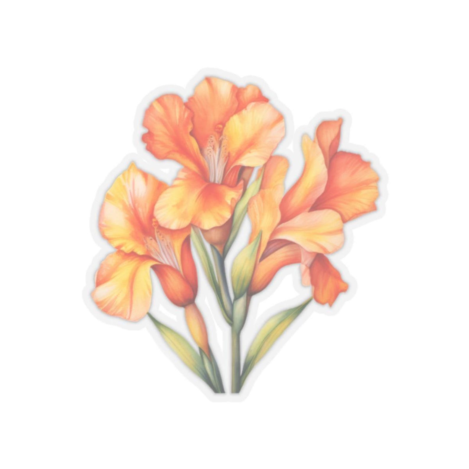 Orange Iris Stickers, Floral Decal, Watercolor Stickers, Botanical Art ...
