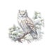 Winter Owl Sticker, Snowy Owl Decal, Owl Laptop Sticker, Waterproof Owl ...