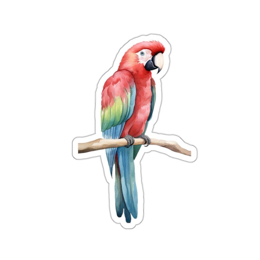 Beautiful Watercolor Parrot Art Sticker, Colorful Parrot Vinyl Decal ...