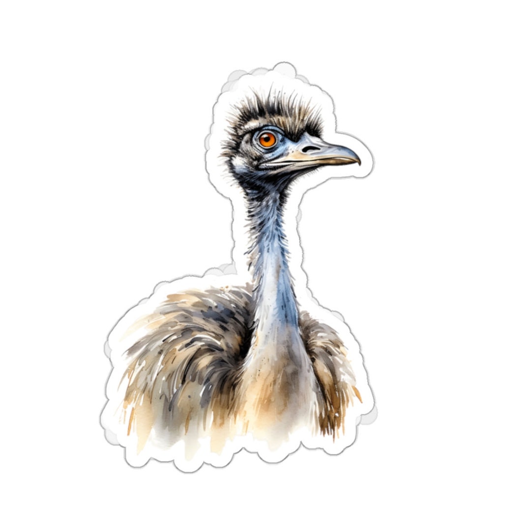 Emu Sticker Realistic Bird Art Vinyl Decal Waterproof Sticker for ...
