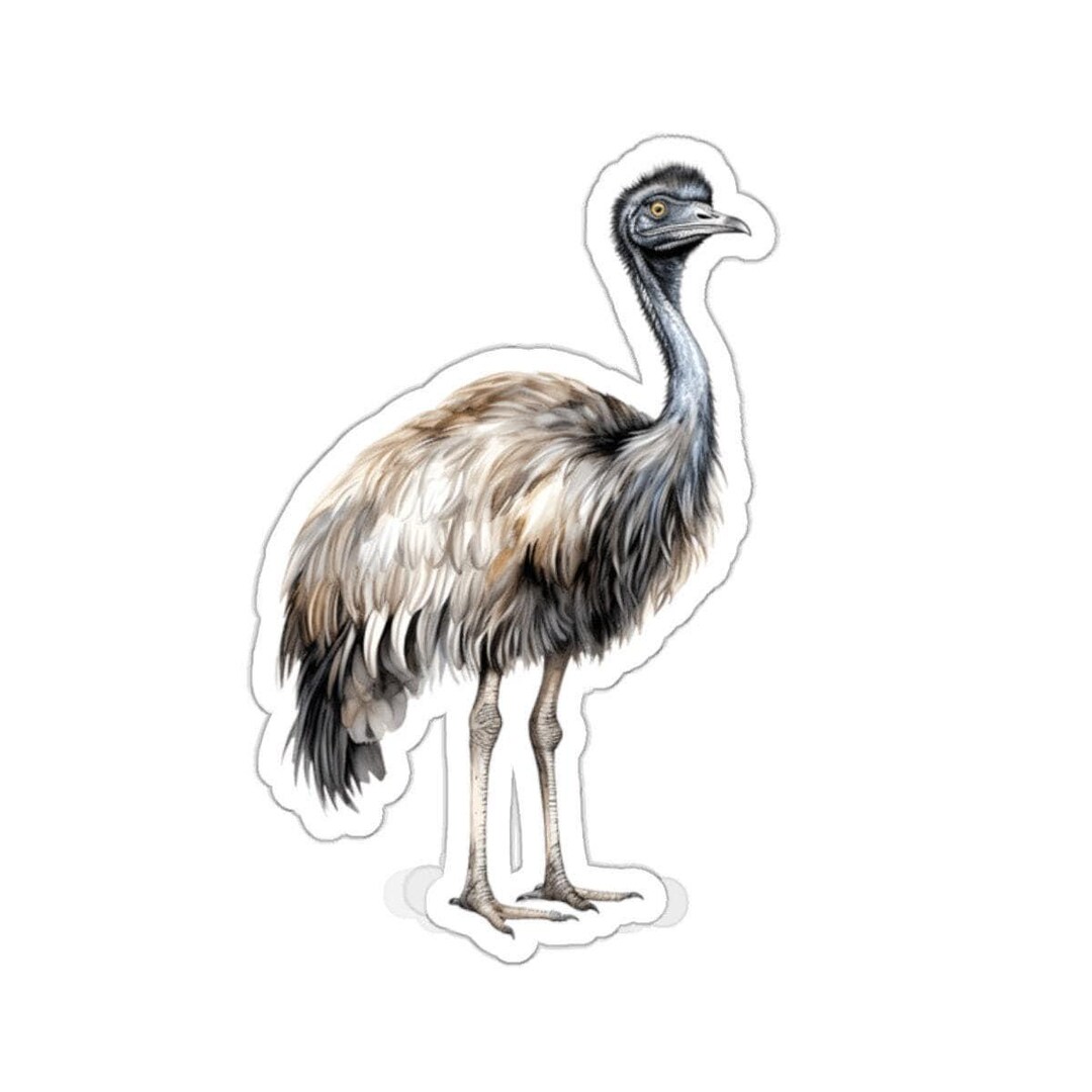 Emu Sticker, Bird Stickers, Funny Stickers, Vinyl Decal, Laptop ...