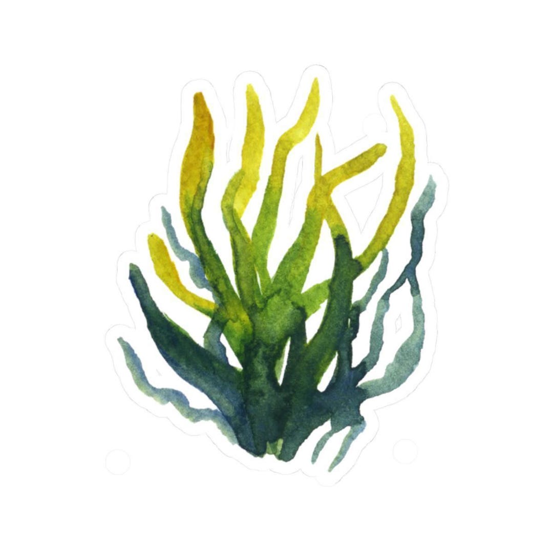 Watercolor Kelp Stickers, Seaweed Decal, Ocean Lover Gift, Waterproof ...