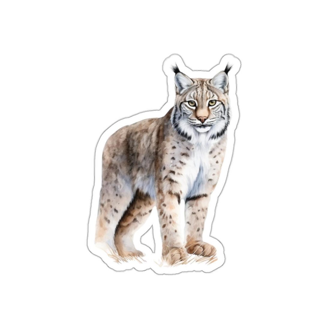 Lynx Cat Sticker, Wildlife Animal Decal, Waterproof Vinyl, Eco-friendly ...