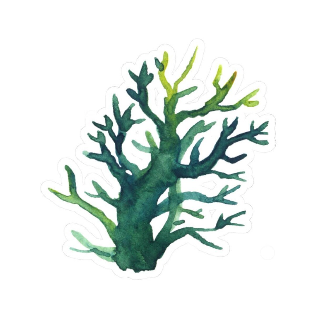 Watercolor Coral Reef Stickers, Ocean Sea Stickers, Cute Laptop ...