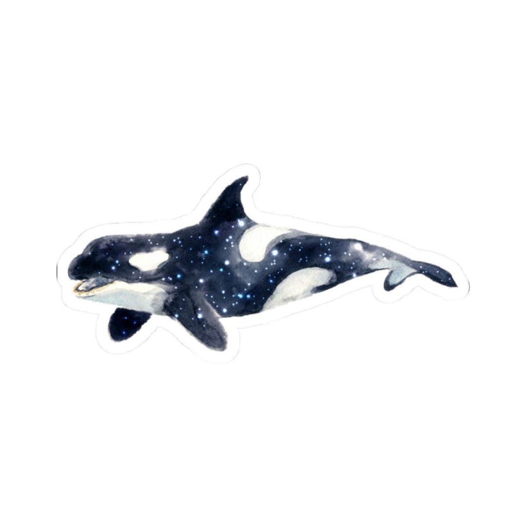 Galaxy Orca Sticker, Killer Whale Art, Cute Stickers for Laptop, Water ...