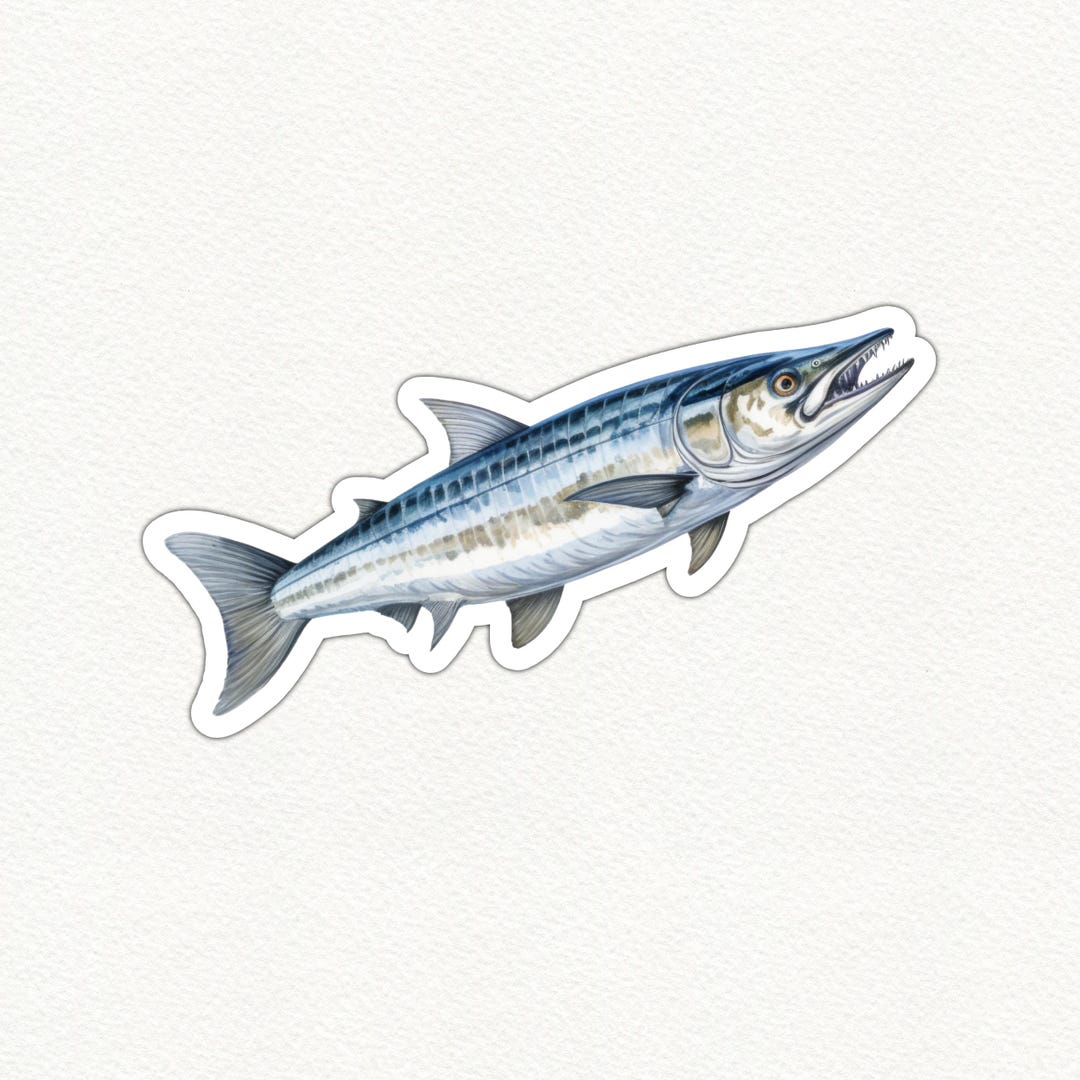 Barracuda Fish Vinyl Sticker Glossy Waterproof Fish Decal Laptop Water ...