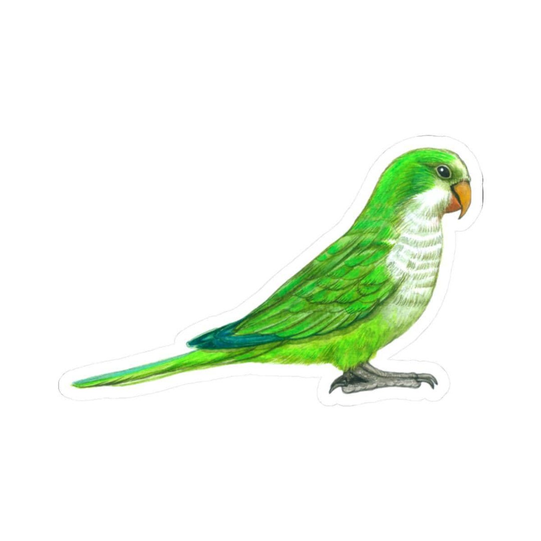 Green Parrot Vinyl Sticker Waterproof, Cute Green Bird Decal, Perfect ...