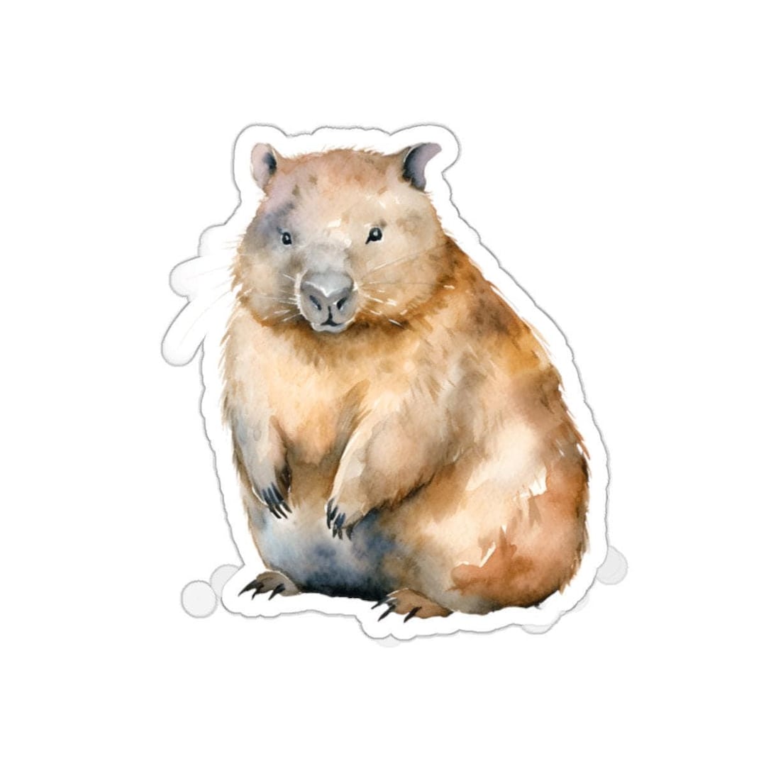 Wombat Sticker, Watercolor Art Stickers, Cute Animal Decal, Funny ...