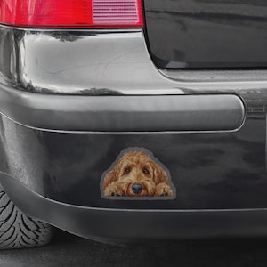 Watercolor Musk Ox Sticker - Laptop Water Bottle Window Decal Decor ...