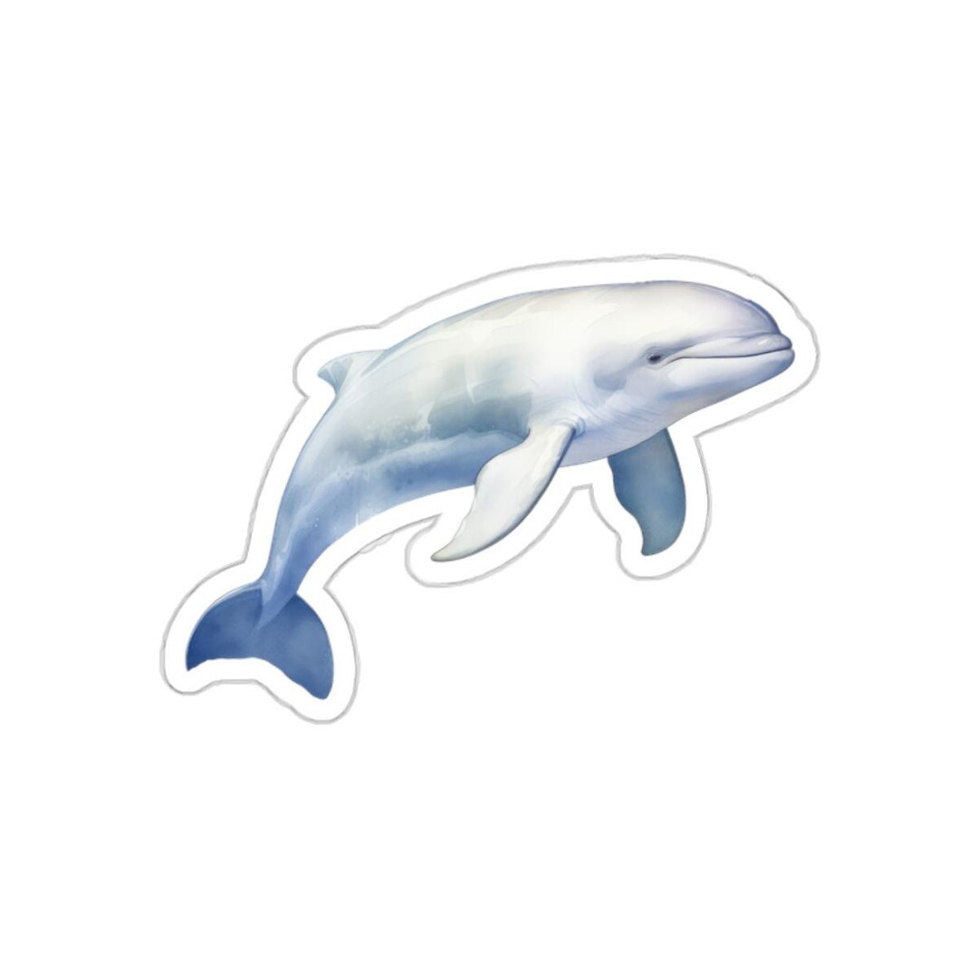 Watercolor Beluga Whale Vinyl Sticker, Glossy Waterproof Sticker, White ...