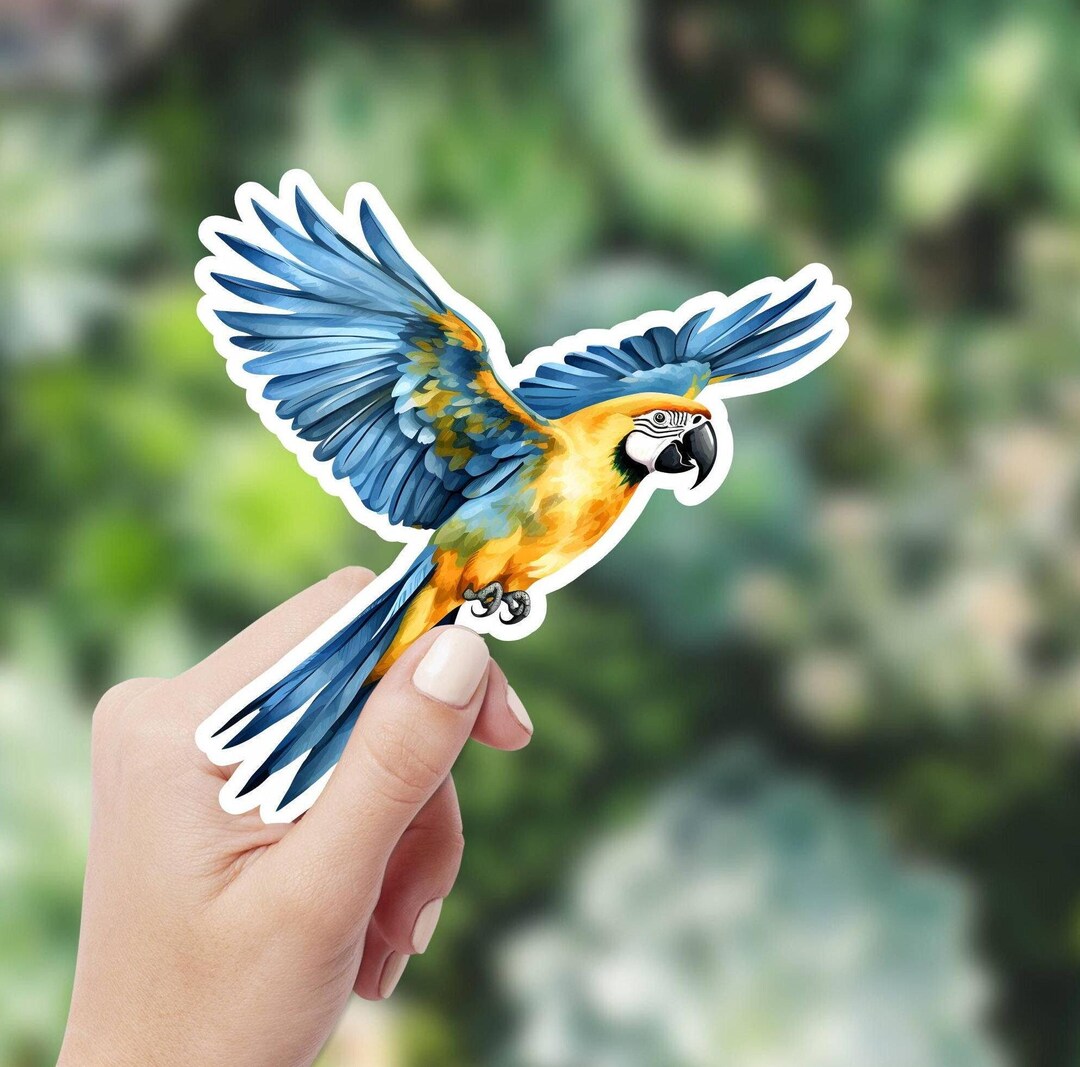 Colorful Parrot Vinyl Sticker, Tropical Bird Sticker, Macaw Decal for ...
