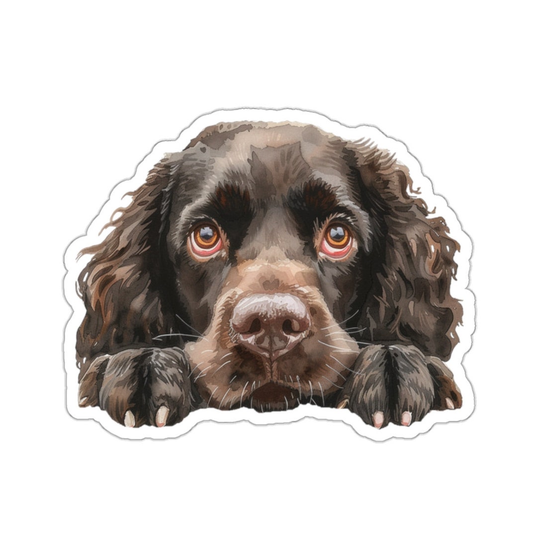 American Water Spaniel Sticker, Peeking Dog Waterproof Vinyl Sticker ...