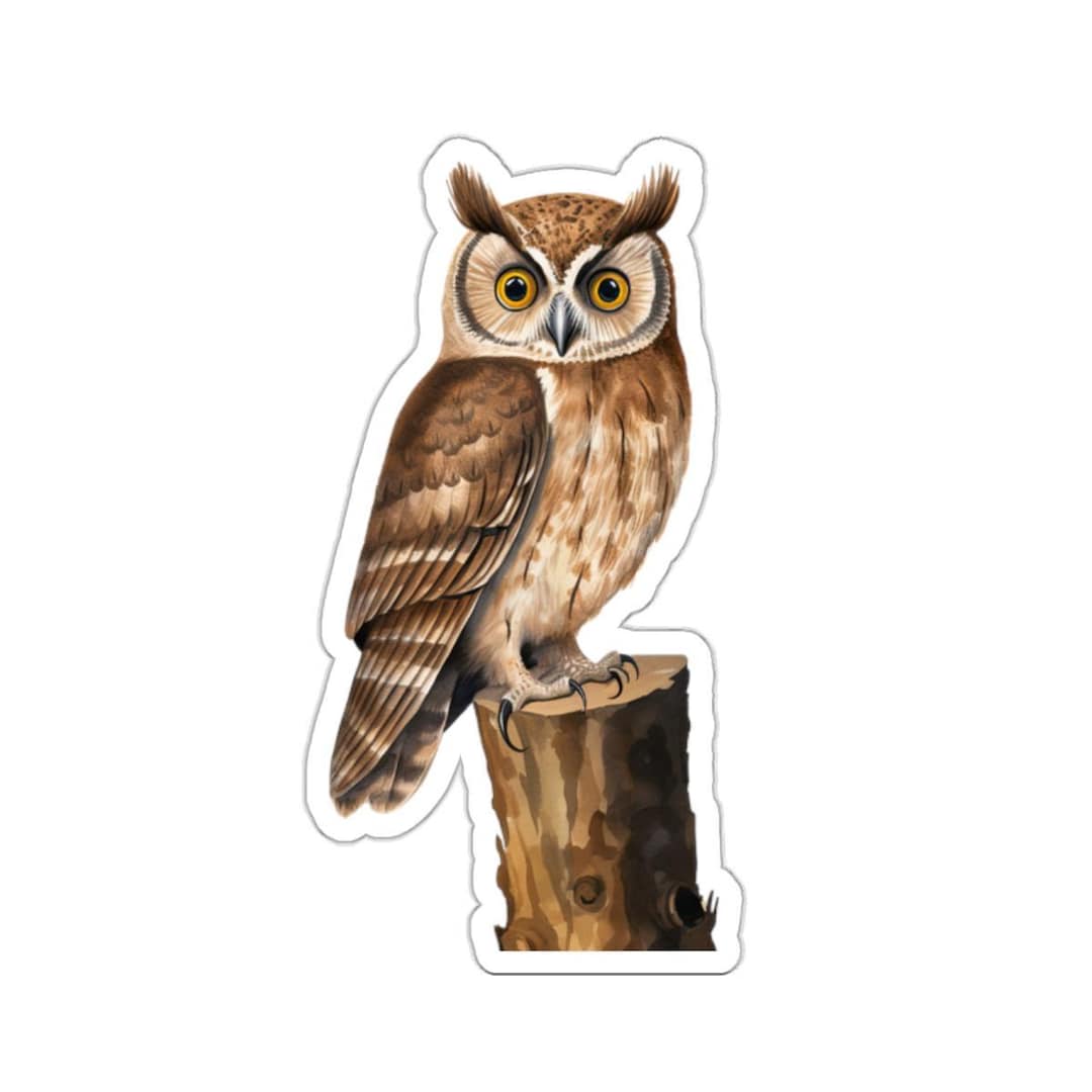 Watercolor Owl Vinyl Sticker, Owl Decal, Waterproof Sticker, Cute Owl ...
