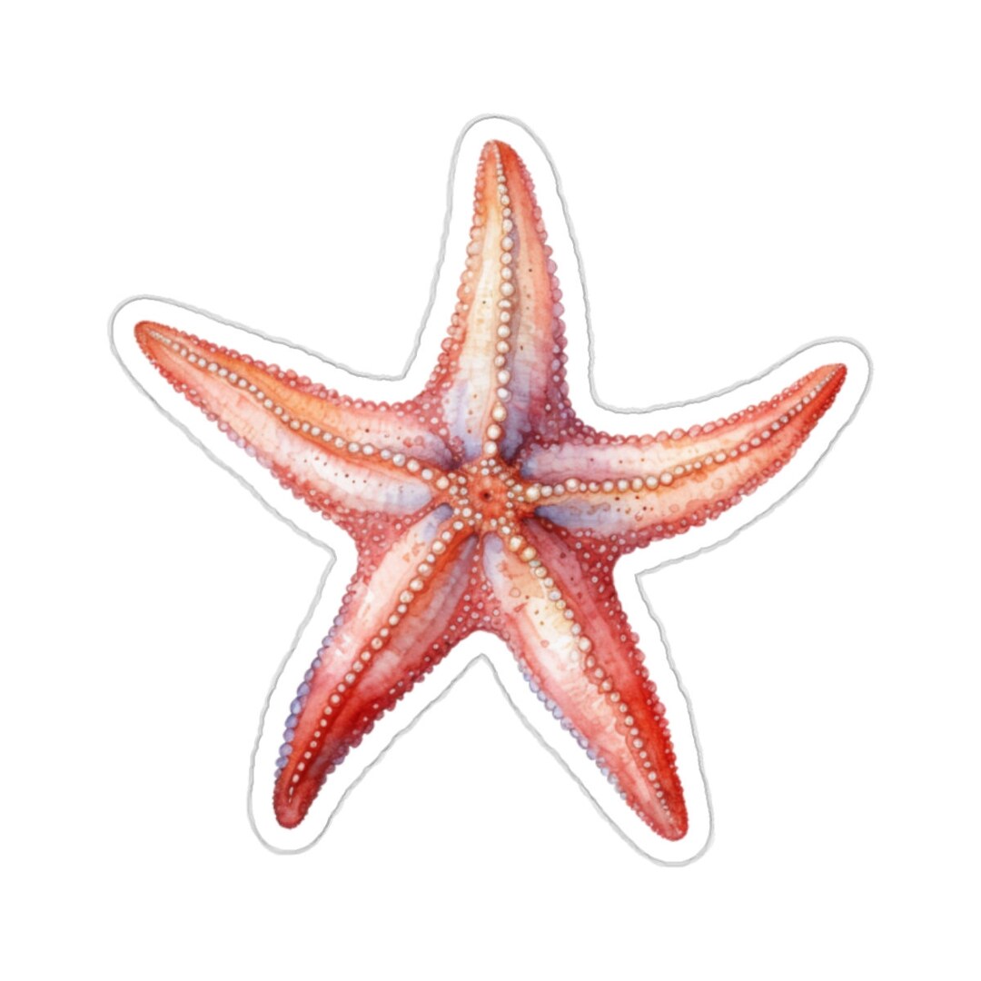 Red Watercolor Starfish Sticker, Sea Creature Waterproof Vinyl Sticker ...