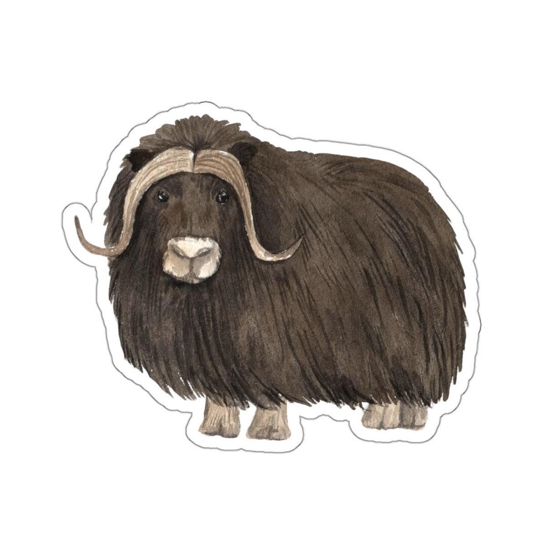 Watercolor Musk Ox Sticker: Arctic Animal Decal - Etsy