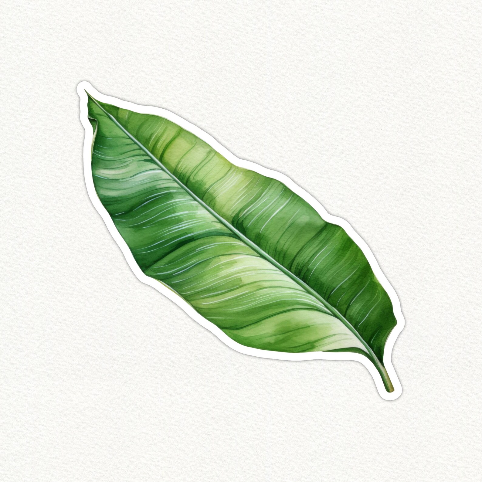 Tropical Banana Leaf Vinyl Sticker, Glossy Waterproof Decal, Eco ...
