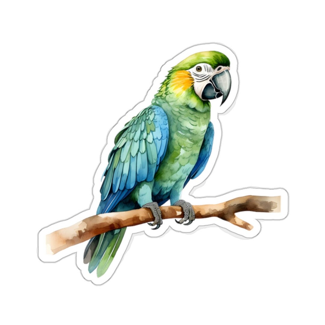 Colorful Macaw Parrot Sticker, Tropical Bird Vinyl Decal, Waterproof ...