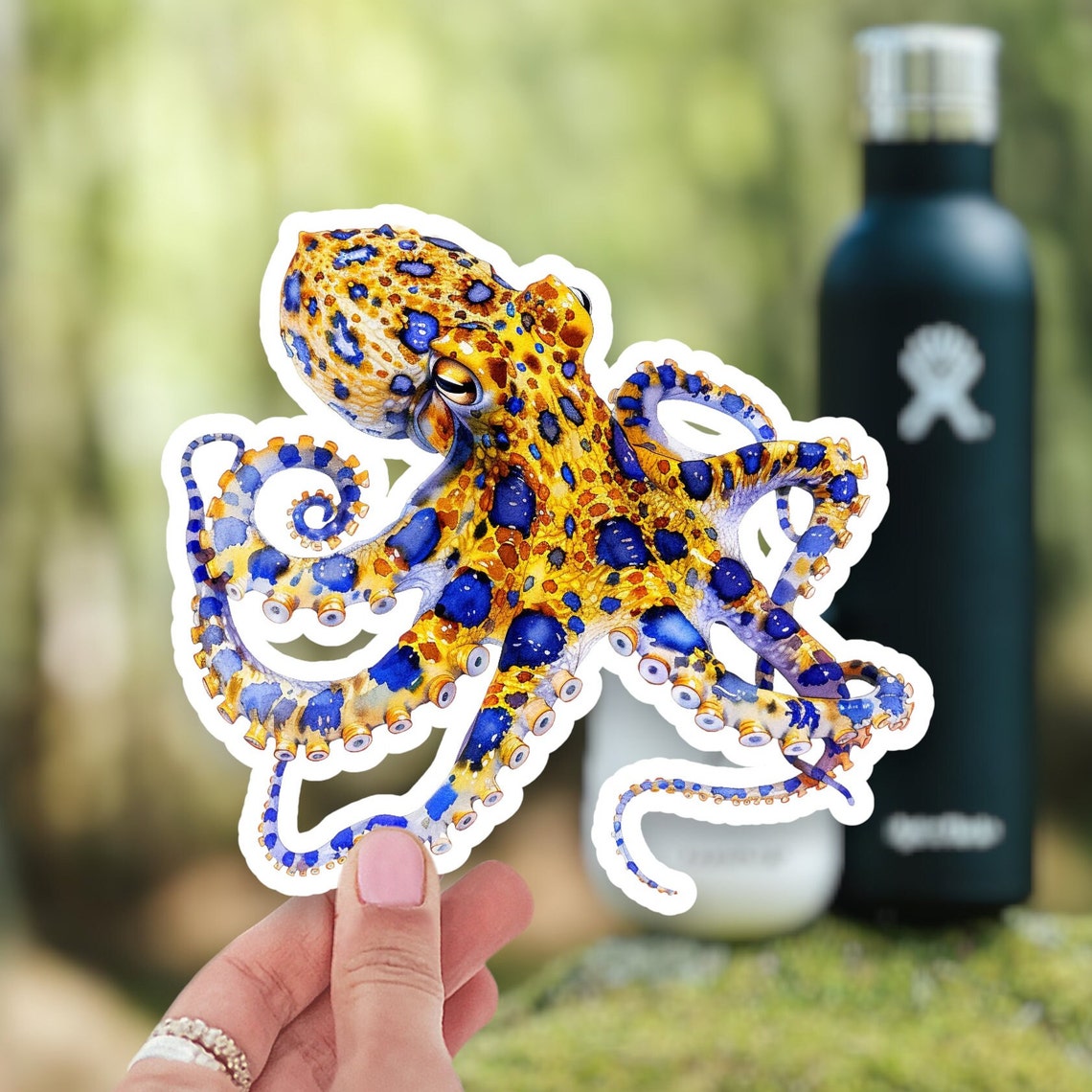 Colorful Octopus Sticker, Watercolor Vinyl Sticker for Laptop Water ...