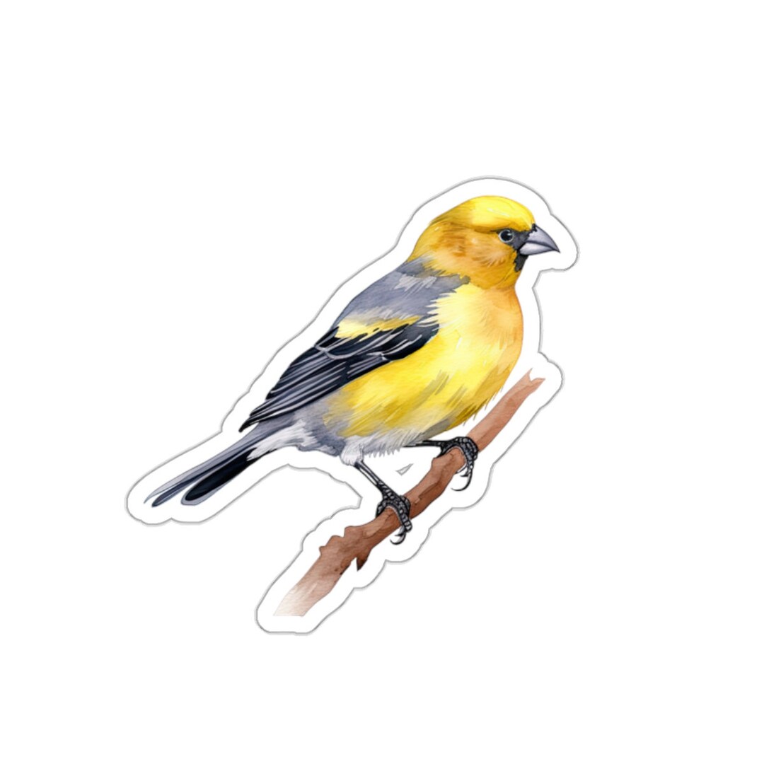 Western Tanager Bird Sticker Watercolor Yellow Bird Vinyl Decal ...