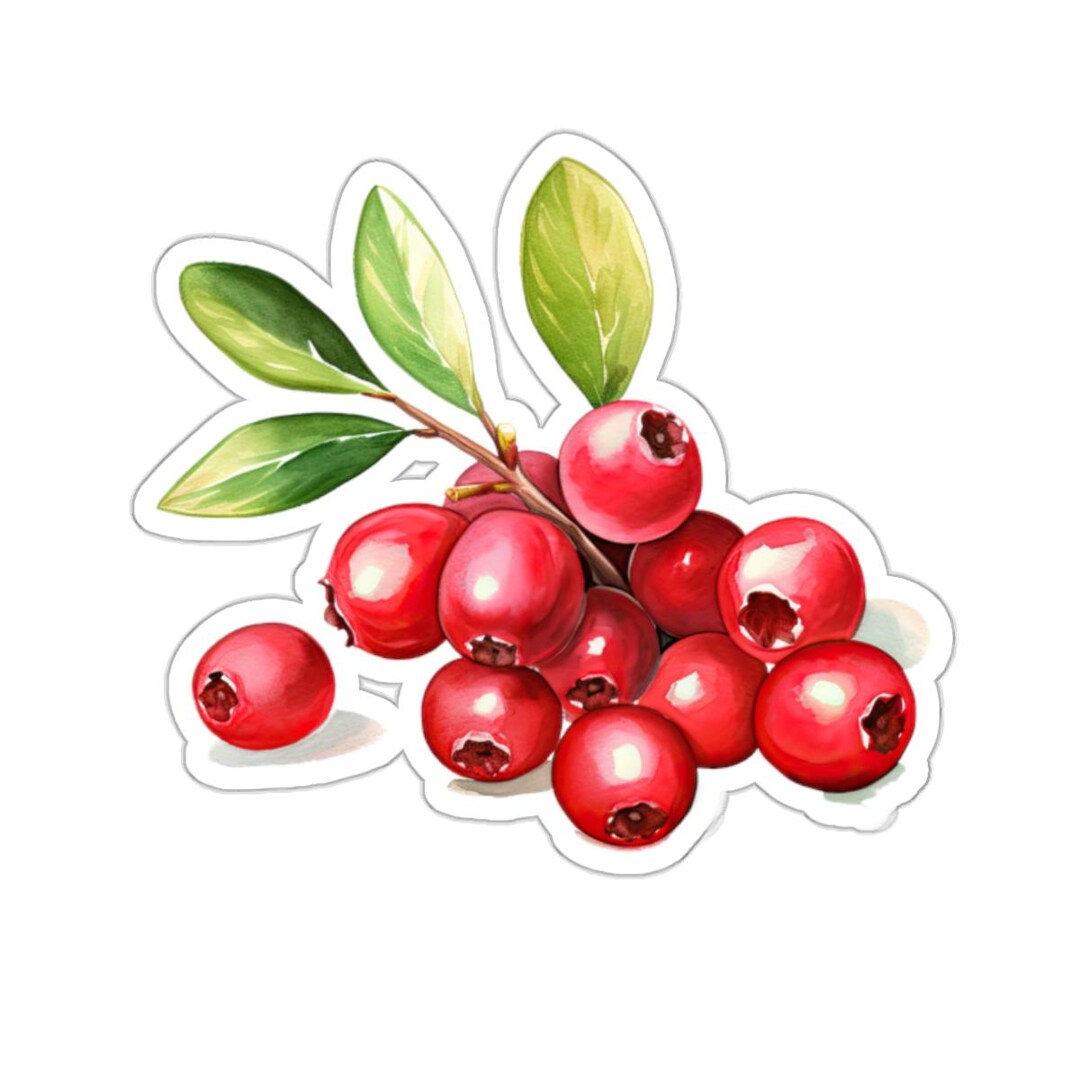 Cranberry Sticker Merry Christmas Sticker Holiday Berry Vinyl Sticker ...