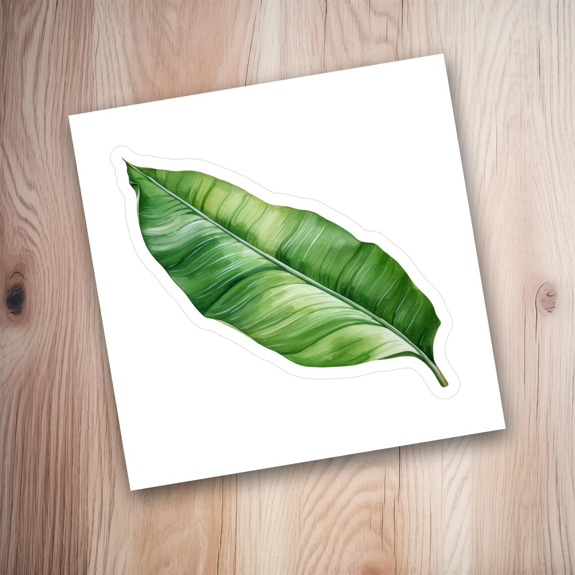 Tropical Banana Leaf Vinyl Sticker, Glossy Waterproof Decal, Eco ...